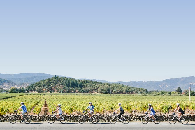 Full-Day Napa Valley E-Bike Tour with Picnic Lunch - The Experience in Detail