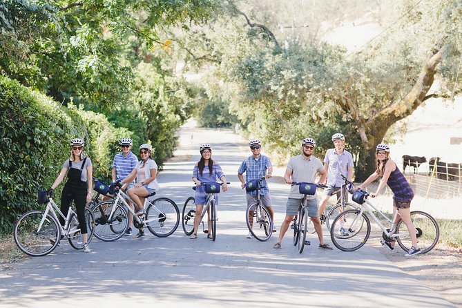 Full-Day Napa Valley E-Bike Tour with Picnic Lunch - Authentic Traveler Insights