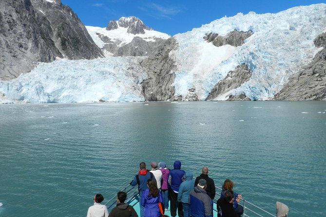 Full day Northwestern Glacier & Wildlife Tour from Seward - An in-Depth Look at the Northwestern Glacier & Wildlife Tour