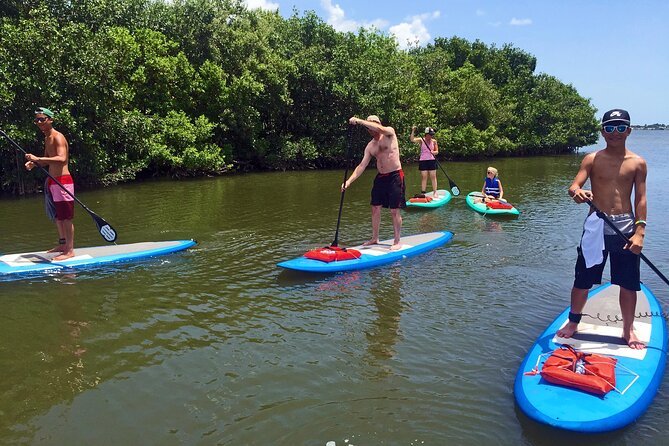 Full-Day Paddle Board Rental in Naples, Florida - Key Points