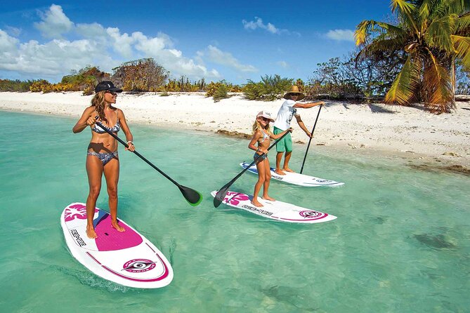 Full-Day Paddle Board Rental in Naples, Florida - What Travelers Can Expect