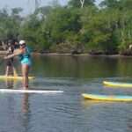 Full-Day Paddle Board Rental in Naples, Florida - The Practical Side: Pricing and Logistics