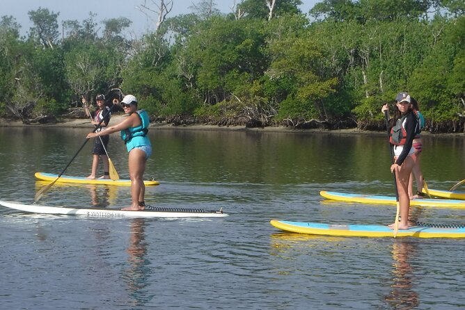 Full-Day Paddle Board Rental in Naples, Florida - The Practical Side: Pricing and Logistics
