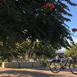 Full Day Performance eBike Rental - What to Expect on the Day