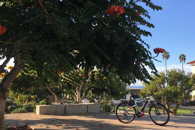 Full Day Performance eBike Rental - What to Expect on the Day