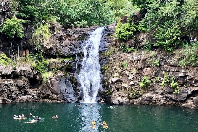 Full Day Private Hawaiian Culture Tour with Guide - Who Would Enjoy This Tour?