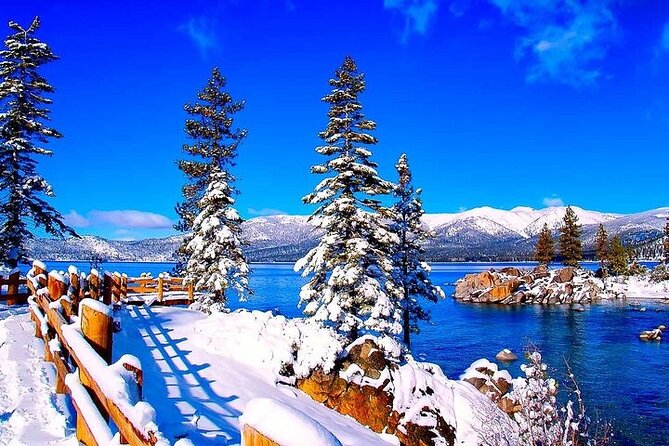 Full Day Private Lake Tahoe Tour from Oakland - Key Points