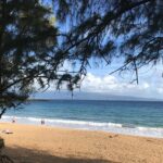 Full Day Private Maui Tour - Itinerary Breakdown: What Can You Expect?