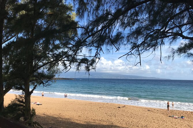 Full Day Private Maui Tour - Itinerary Breakdown: What Can You Expect?