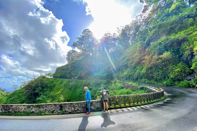 Full Day Private Maui Tour - The Experience at Iao Valley & Beyond