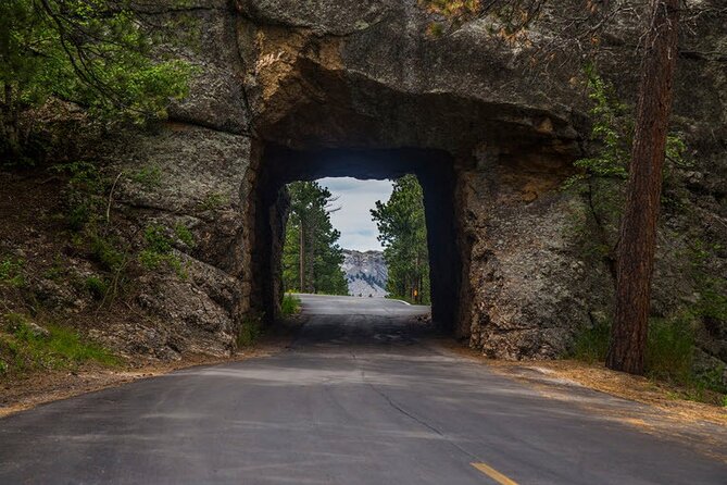 Full-Day Private Sightseeing Tour in South Dakota - What Travelers Say: Authentic Experiences and Expert Guides