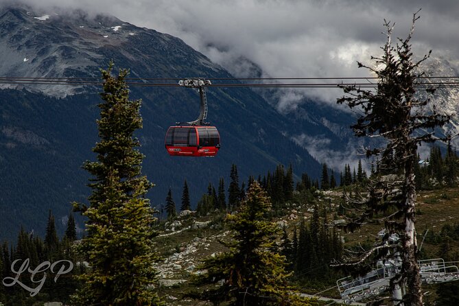 Full-Day Private Tour from Bellingham to Whistler B.C. Canada - The Journey Begins: From Bellingham to Whistler