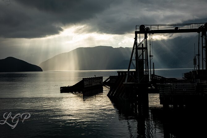 Full-Day Private Tour from Bellingham to Whistler B.C. Canada - Ascending the Mountains: Gondola Adventures