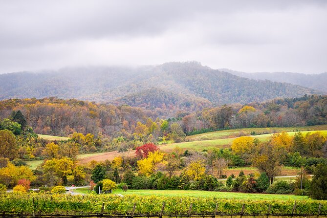 Full-Day Private Virginia Wine Tour Experience from Washington - FAQ