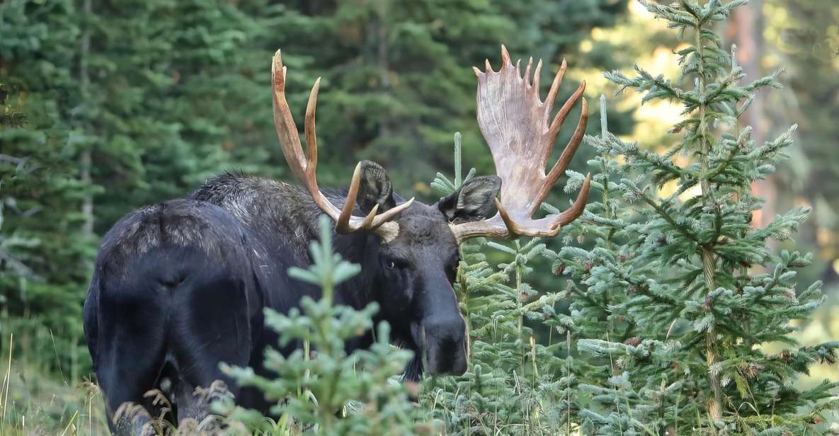 Full-Day RMNP Over the Top Tour - RMNPhotographer - The Experience in Detail