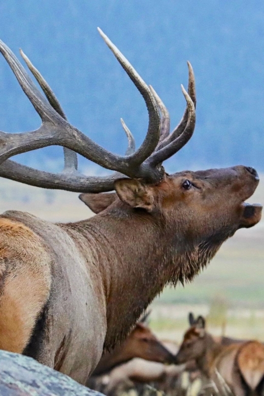 Full-Day RMNP Over the Top Tour - RMNPhotographer - Who Is This Tour Best For?