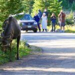 Full-Day Rocky Mountain National Park "Over The Top Tour" - RMNPhotographer - Why This Tour Offers Great Value