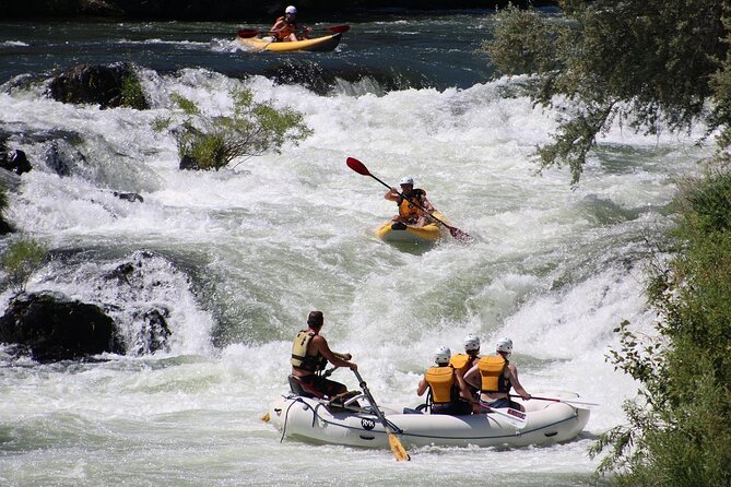 Full Day Rogue River Experience Class (I-IV) - Who Should Consider This Tour