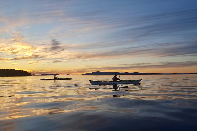 Full Day San Juan Island Kayaking Adventure - What Sets This Tour Apart?
