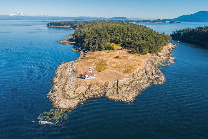 Full Day San Juan Island Kayaking Adventure - Practical Details and Considerations