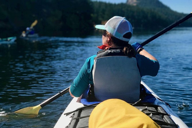 Full Day San Juan Island Kayaking Adventure - Final Thoughts: Is This Tour Right for You?