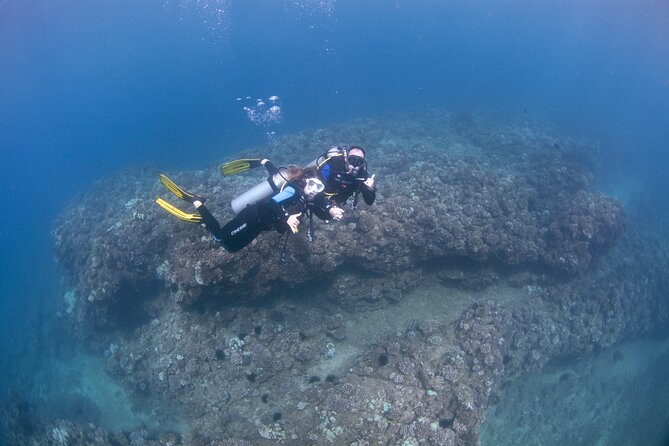 Full Day Scuba Dive Off The Na Pali Coast, Kauai-Mana Crack - The Sum Up: Is It Worth It?