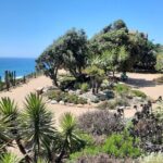 Full-Day Self Guided Electric Bike Tour of North San Diego Coast - The Practicalities: What You Need to Know