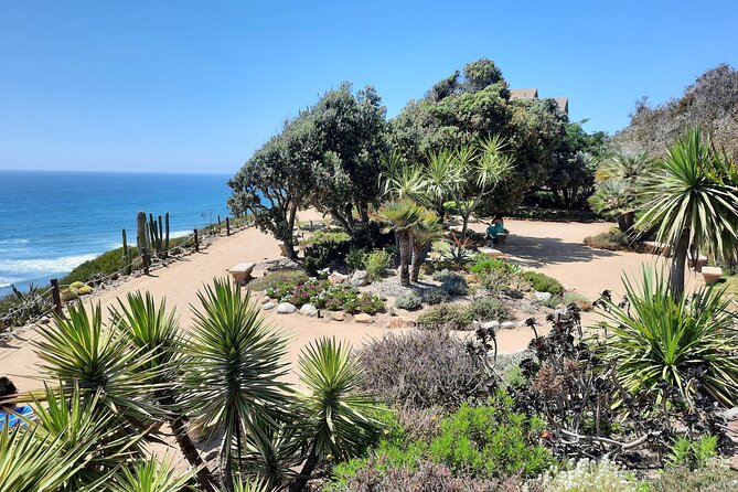 Full-Day Self Guided Electric Bike Tour of North San Diego Coast - The Practicalities: What You Need to Know