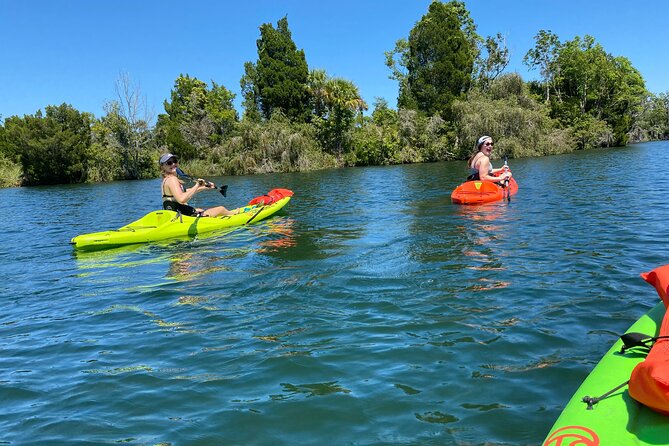 Full Day Single Kayak Rental In Crystal River - Exploring Crystal River by Kayak: A Practical Guide to a Full-Day Adventure