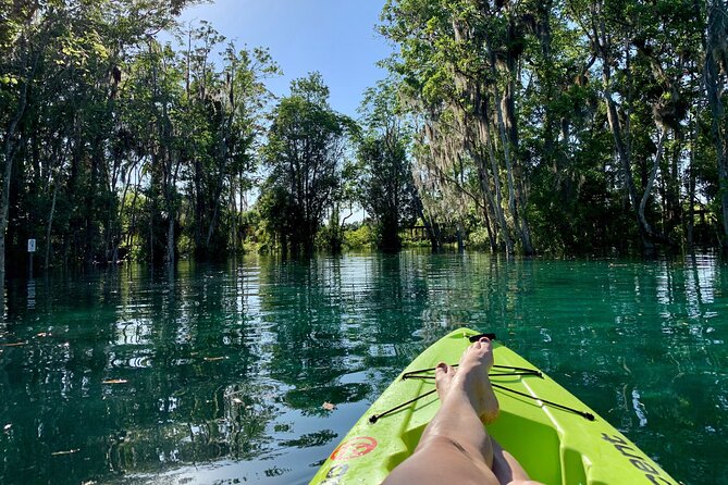 Full Day Single Kayak Rental In Crystal River - The Experience in Detail