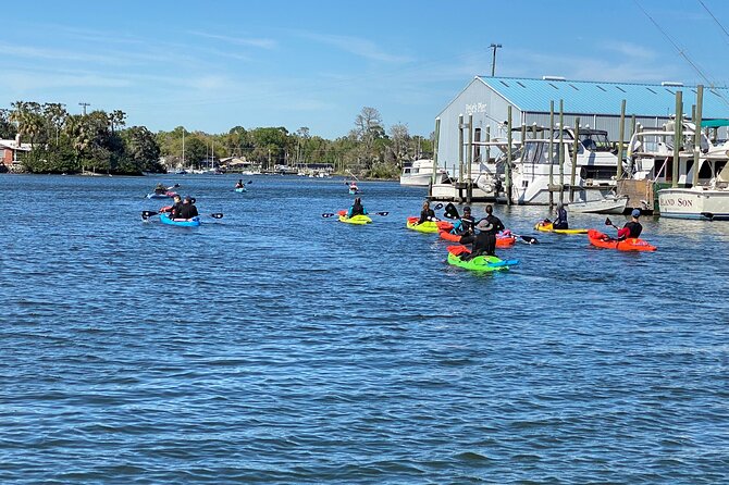 Full Day Single Kayak Rental In Crystal River - Who Will Love This Experience?