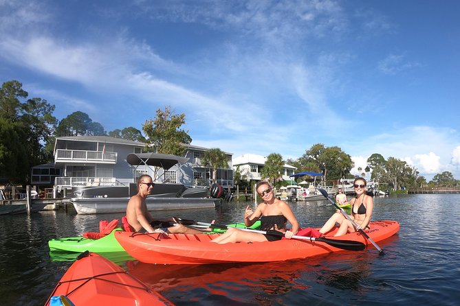 Full Day Single Kayak Rental In Crystal River - The Sum Up
