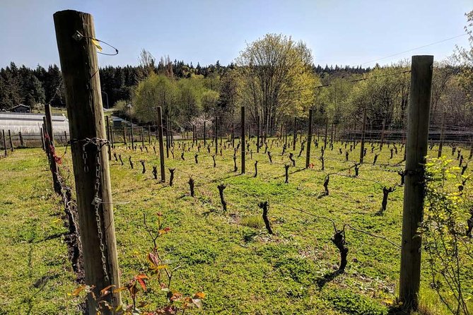 Full-Day Small-Group Bainbridge Island Wine and History Tour - Exploring Bainbridge Island on a Small-Group Wine and History Tour