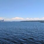 Full-Day Small-Group Bainbridge Island Wine and History Tour - Who Will Love This Tour?