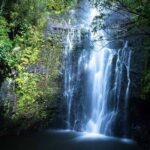 Full Day Small Group Tour of Maui Waterfall, Beach and Hana - Practical Aspects and Value