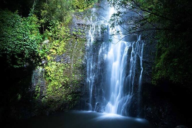 Full Day Small Group Tour of Maui Waterfall, Beach and Hana - Practical Aspects and Value
