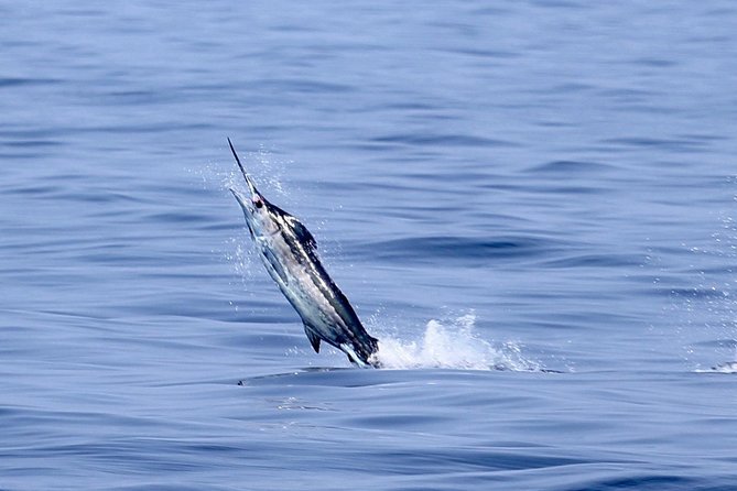 Full Day Sportsman/Enthusiast Charter - The Experience: What to Expect on Your Day Out