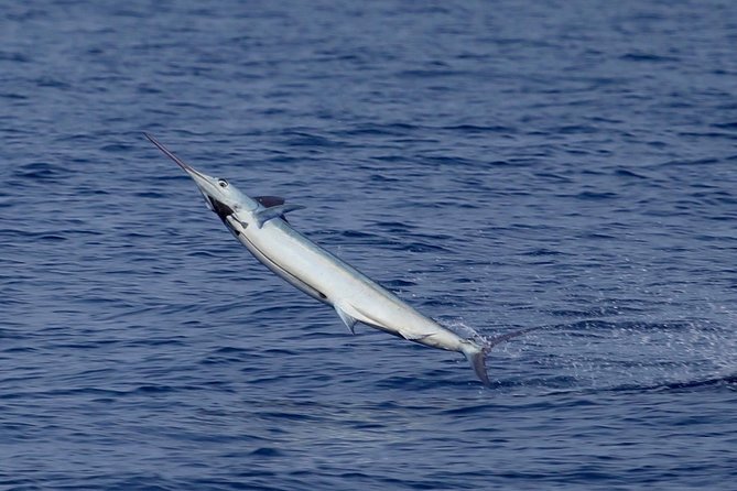 Full Day Sportsman/Enthusiast Charter - Who Will Love This Experience?