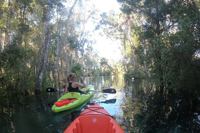Full Day Tandem Kayak Rental For Two People In Crystal River, Florida - Who Will Love This Experience?