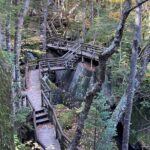 Full-Day Tour from Boston: Lost River & Flume Gorge Adventure - The Practicalities and What You Need to Know