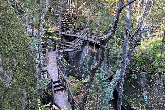 Full-Day Tour from Boston: Lost River & Flume Gorge Adventure - The Practicalities and What You Need to Know