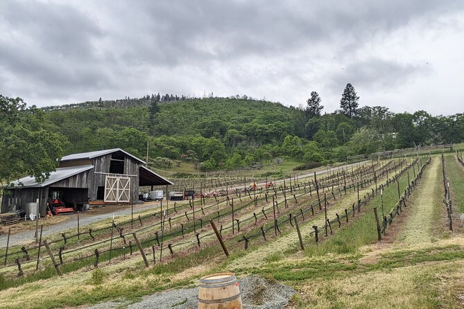 Full-Day Tour of Rogue Valley Wineries - Full-Day Tour of Rogue Valley Wineries: A Taste of Oregons Best