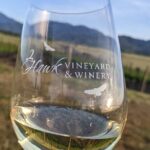 Full-Day Tour of Rogue Valley Wineries - An In-Depth Look at the Rogue Valley Wineries Tour