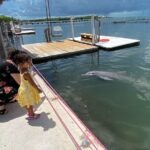 Full day tour of The Florida Keys - Key Largo Islamorada Key West - Practical Details and Value
