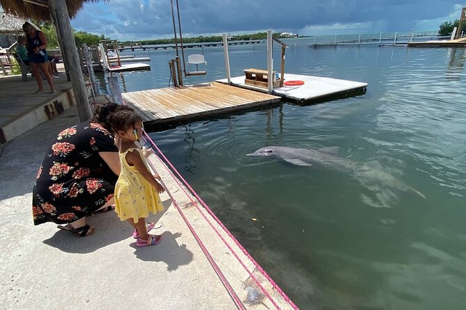 Full day tour of The Florida Keys - Key Largo Islamorada Key West - Practical Details and Value