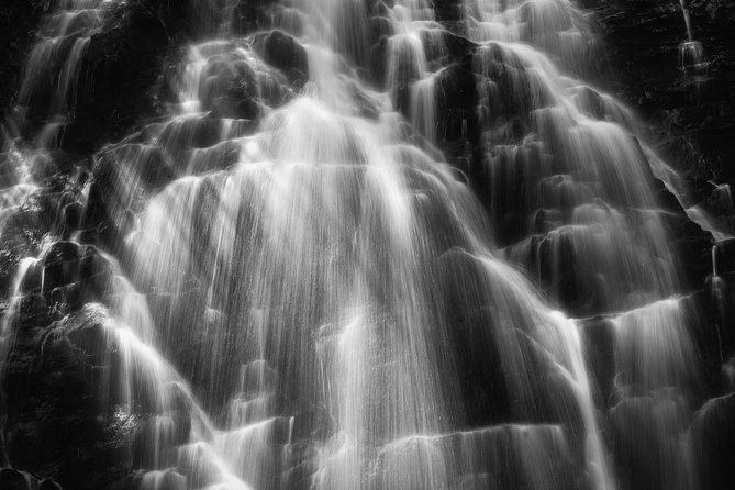 Full-Day Tour With Instruction in Vistas & Waterfall Photography - Real Feedback from Participants