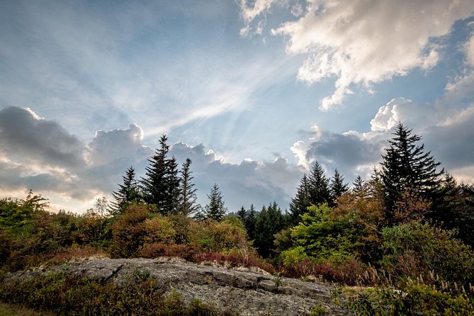 Full-Day Tour With Instruction in Vistas & Waterfall Photography - Who Should Book This Tour?