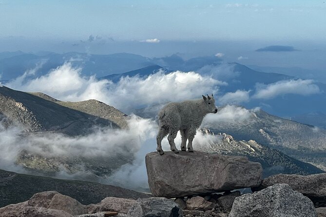 Full-Day Views and Scenic Mount Evans Private Guided Drive Tour - Who is This Tour Best For?