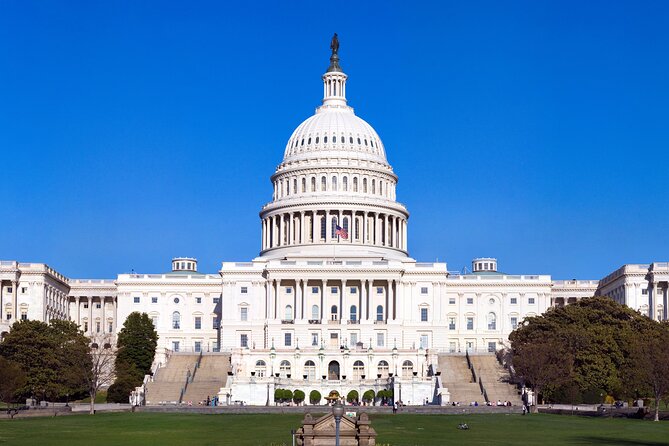 Full day Washington DC Tour from New York City - Authentic Insights from Reviews