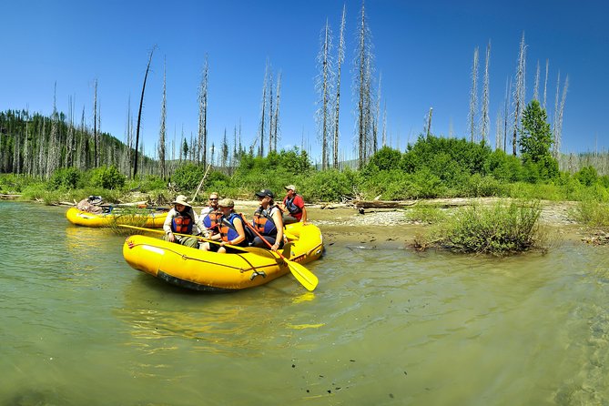 Full Day Whitewater Adventure Trip with Included Lunch - Why This Trip Is a Great Pick